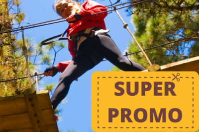 Adventure circuits in the trees and zip lines - Forestal Park Tenerife